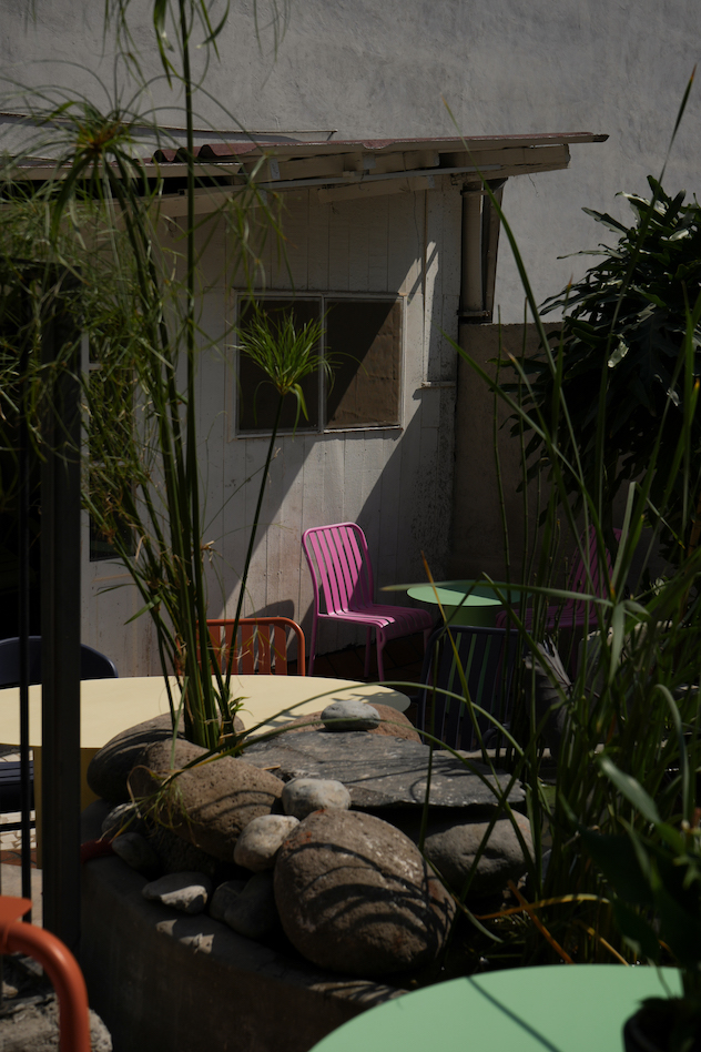 New bar Revuelta Queer House opens in Mexico City · News RA